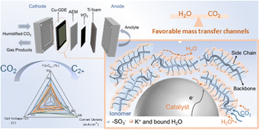 Rational catalyst layer design enables tailored transport channels for ...