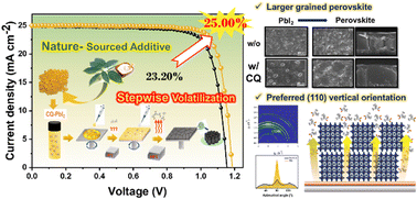 Stepwise volatilization induced by nature-sourced volatile solid ...