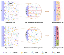 An electric double layer regulator empowers a robust solid–electrolyte ...