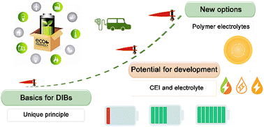 Some basics and details for better dual-ion batteries - Energy ...