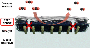 Conducting polymer transforms hydrophobic porous membranes into robust ...