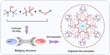 Designing a bridging solvation structure using recessive solvents for ...