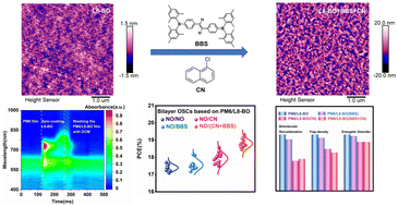 Molecular order manipulation with dual additives suppressing trap density in non-fullerene ...