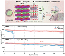 A lithium-selective “OR-gate” enables fast-kinetics and ultra-stable Li ...