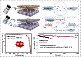 Redox mediator-modified self-assembled monolayer stabilizes a buried interface in efficient ...