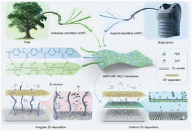 Wearing “body armor” on zinc anodes for robust aqueous zinc-ion ...