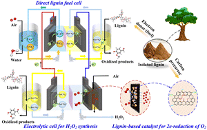 Self-powered electrochemical synthesis of hydrogen peroxide from air ...