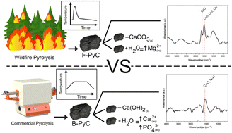 Physicochemical differences between wildfire pyrogenic carbon and slow ...