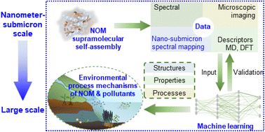 Advancing micro-nano supramolecular assembly mechanisms of natural ...