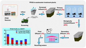 Distribution and variability of per- and polyfluoroalkyl substances ...