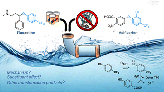 Spontaneous aqueous defluorination of trifluoromethylphenols ...