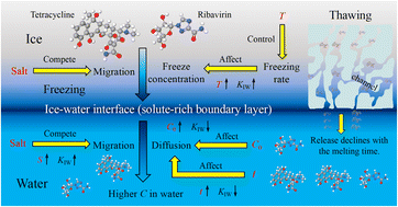Ice-water distribution of antibiotics and antiviral drugs during the ...