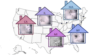 Indoor surface chemistry variability: microspectroscopic analysis of ...