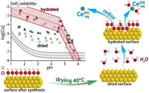 Overlooked impact of surface hydroxylation on the solubility of less ...