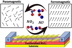 Functionalized molybdenum disulfide (MoS2) monolayer as an efficient ...