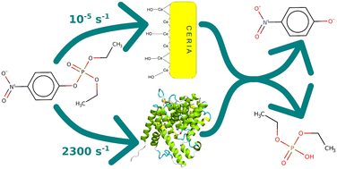 Metalloenzyme-inspired approach to the design and applications of ...