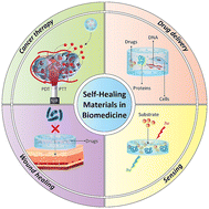 Self-healing materials in biomedicine and the circular economy ...