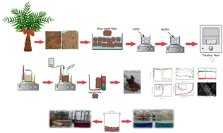Biomass-based water purification: a simple and novel one-pot process ...