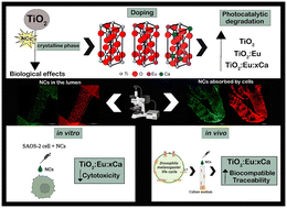 Europium and calcium-co-doped TiO2 nanocrystals: tuning the ...