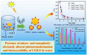 Micro- and nanoplastic-mediated phototransformation and ...