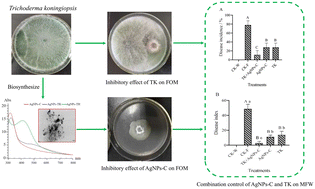 Combining Trichoderma sp. and biogenic AgNPs from Trichoderma strains ...