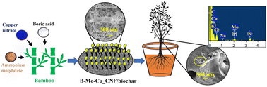 A micro-nano formulation of multi-micronutrient- and carbon nanofiber ...