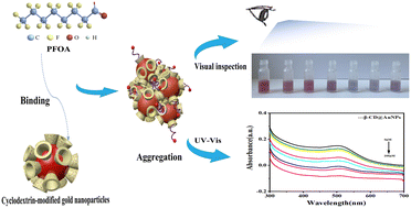 Colorimetric visualization detection of perfluorooctanoic acid based on host–guest interactions ...