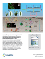 Back cover - Environmental Science: Nano (RSC Publishing)