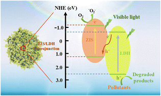 Design of 2D/2D ZnIn2S4/MgAl-LDH core–shell nanostructures toward ...
