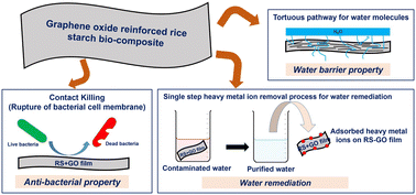 Versatile, flexible rice starch–graphene oxide bio-nanocomposites ...