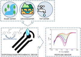 A highly sensitive disposable electrochemical sensor based on copper nanoparticles for pesticide ...