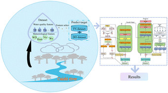 A novel water quality prediction model based on BiMKANsDformer ...