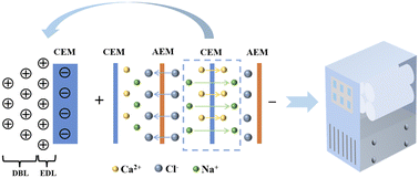 Selective removal of Ca2+ from brackish water by electrodialysis ...
