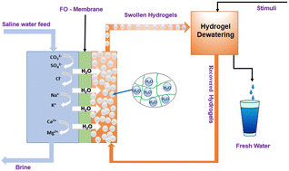 A systematic study for predicting the performance of forward osmosis ...