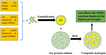 Soy protein hydrogels with filler emulsion particles coated by ...