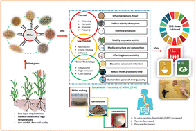 Millets as supergrains: a holistic approach for sustainable and healthy ...