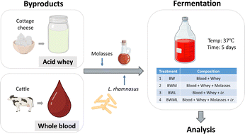 Valorization of byproducts from meat and dairy industries through ...