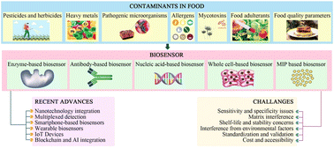 Advancements in food quality monitoring: integrating biosensors for ...