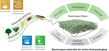 Electrospinning of sustainable polymers from biomass for active food ...