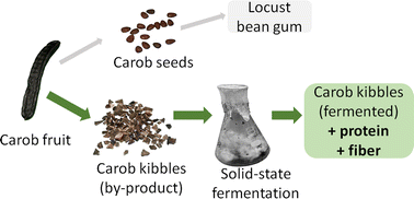 Effect of solid-state fermentation with Pleurotus ostreatus on the ...