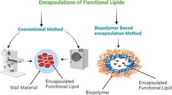 Recent trends in the encapsulation of functional lipids: comprehensive ...
