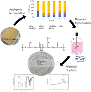 Acidogenic fermentation of dairy by-products for the utilization of ...