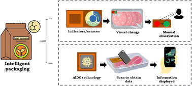 Recent technological advances in food packaging: sensors, automation ...