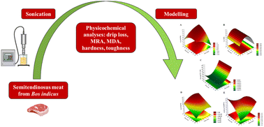 High-intensity ultrasound processing to improve the quality of ...