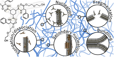 Fiber formation seen through the high-resolution computational ...