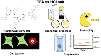 Impact of counterion and salt form on the properties of long-acting ...