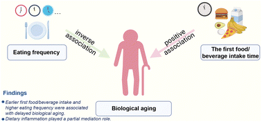 Association of chrononutrition patterns with biological aging: evidence ...