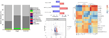 The ameliorative mechanism of Lactiplantibacillus plantarum NJAU-01 ...