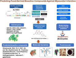 Predicting structure-targeted food bioactive compounds for middle-aged ...