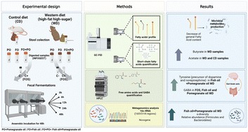 The use of an in vitro fecal fermentation model to uncover the ...